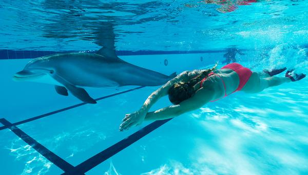 Edge Innovations' robot dolphins | Attractions Management innovation