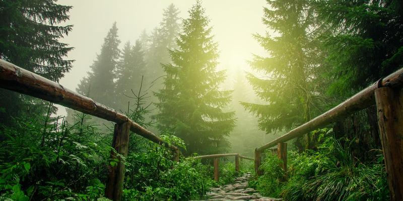 New study exploring how digital nature experiences support wellbeing ...