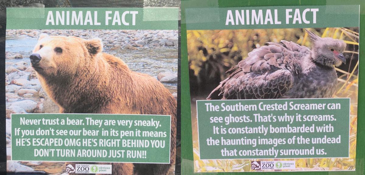 Prankster’s fake animal facts offer unexpected boost for Los Angeles ...
