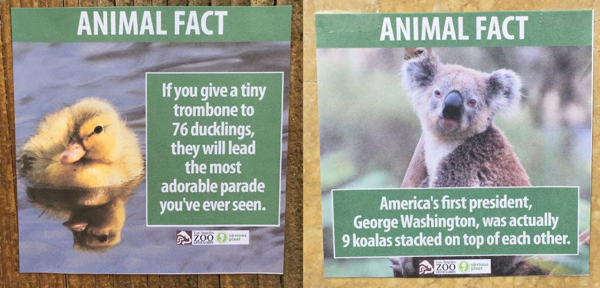 Prankster’s fake animal facts offer unexpected boost for Los Angeles ...