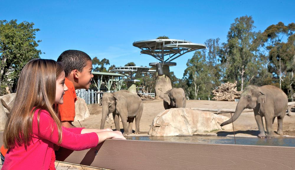 AZA - Amaze & Engage | attractionsmanagement.com