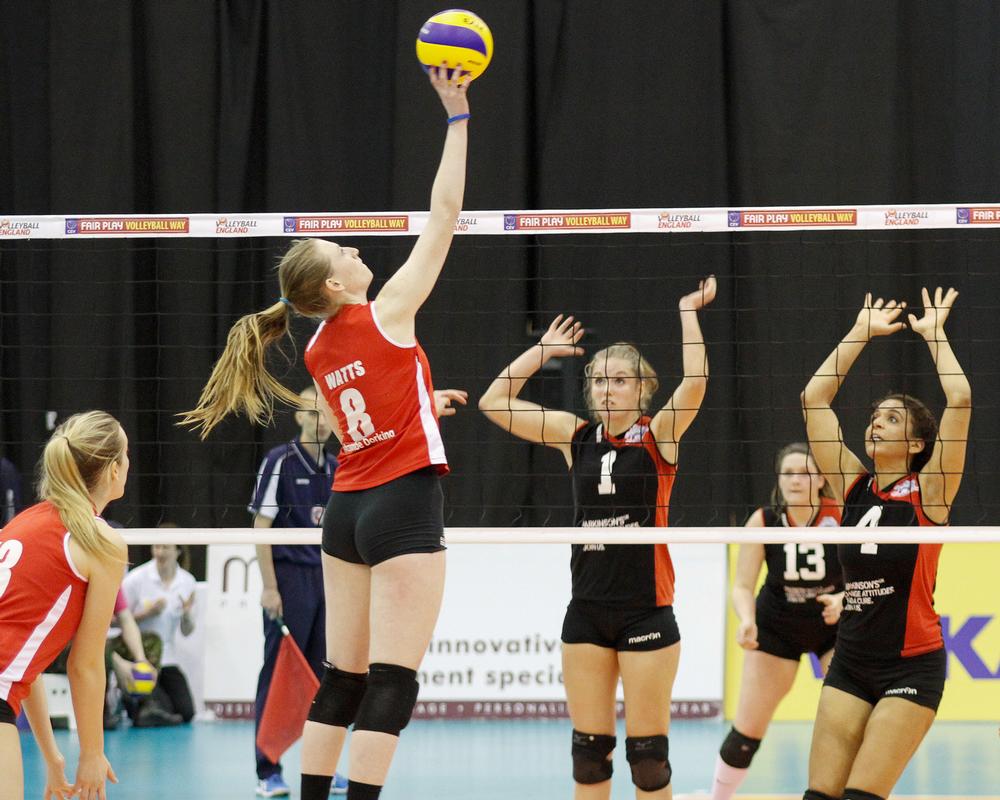 Growing Grass roots - Volleyball | attractionsmanagement.com