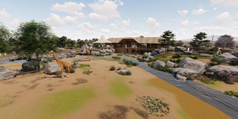 Gillespies create immersive savannah grasslands experience for Chester ...