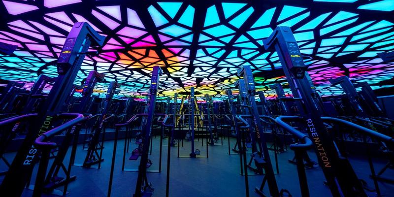 Cactus uses immersive lighting gym installations to boost workout ...